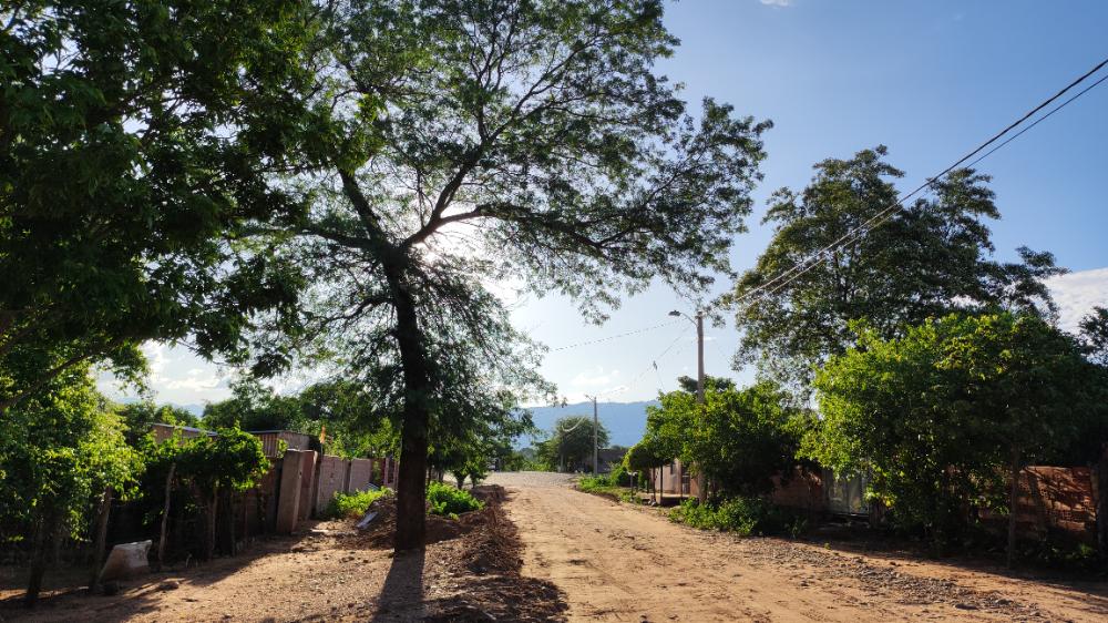 Quebracho Colorado Los Chacos | Gota del Chaco
