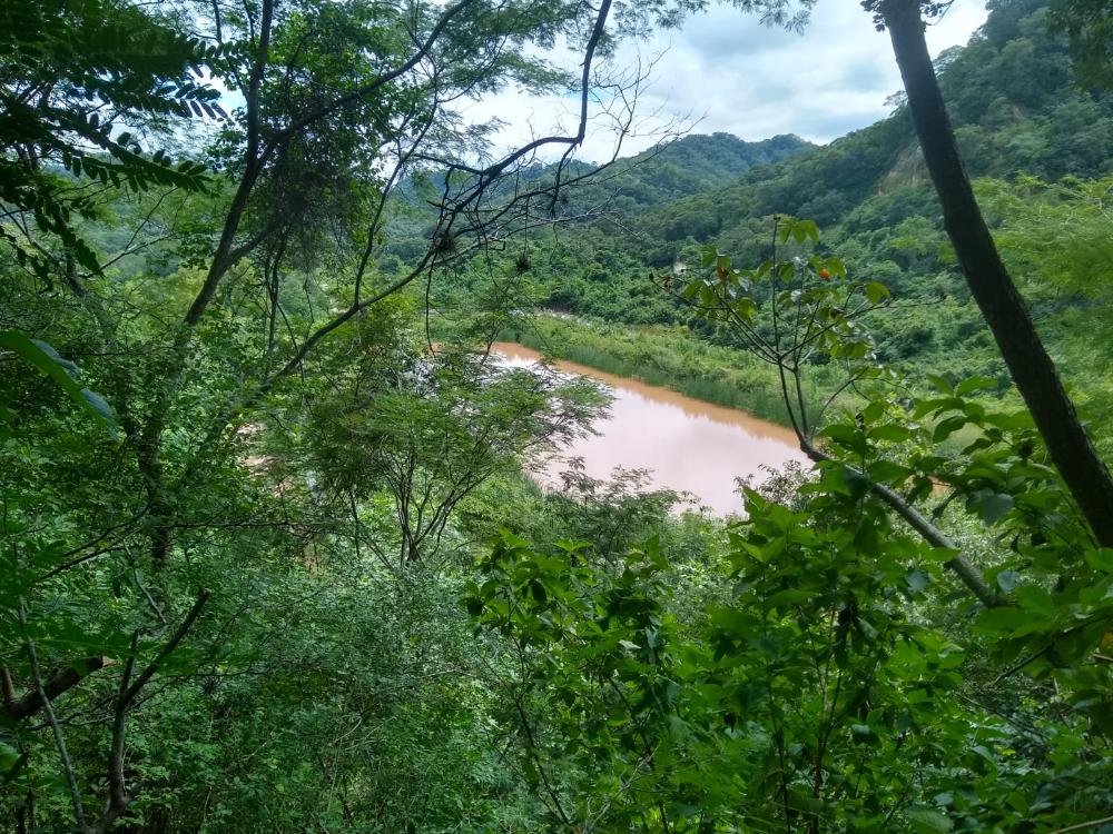 Carlos PIÑERO | Gota del Chaco