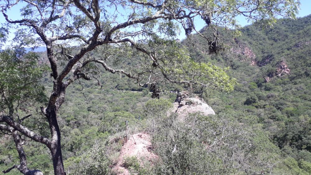 Muela del Diablo | Gota del Chaco