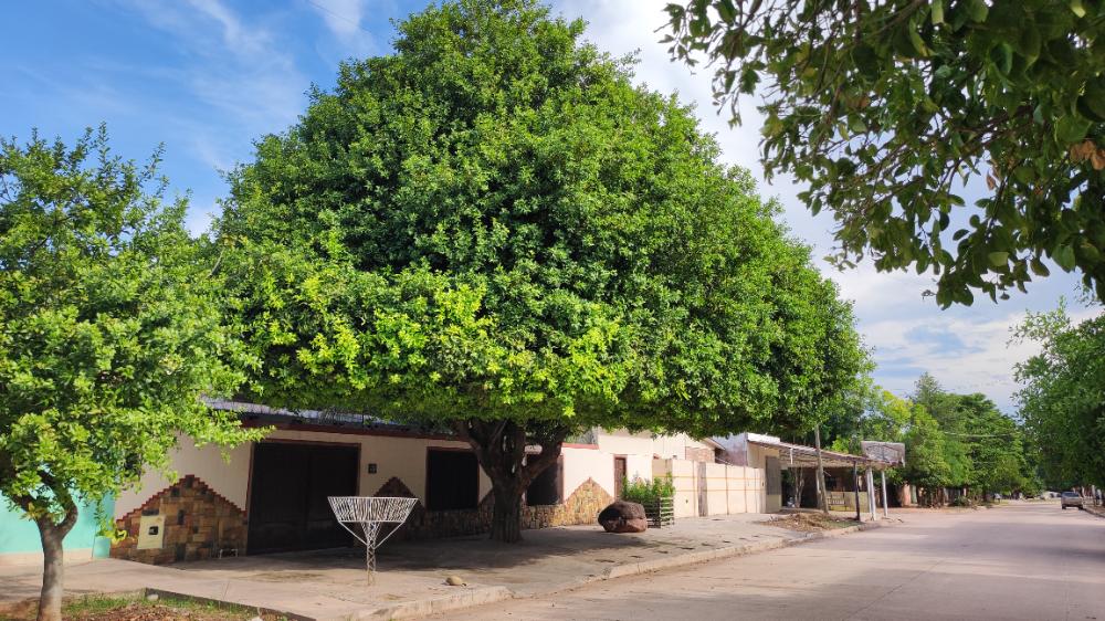 Motoyoe C/Boquerón - Litoral | Gota del Chaco
