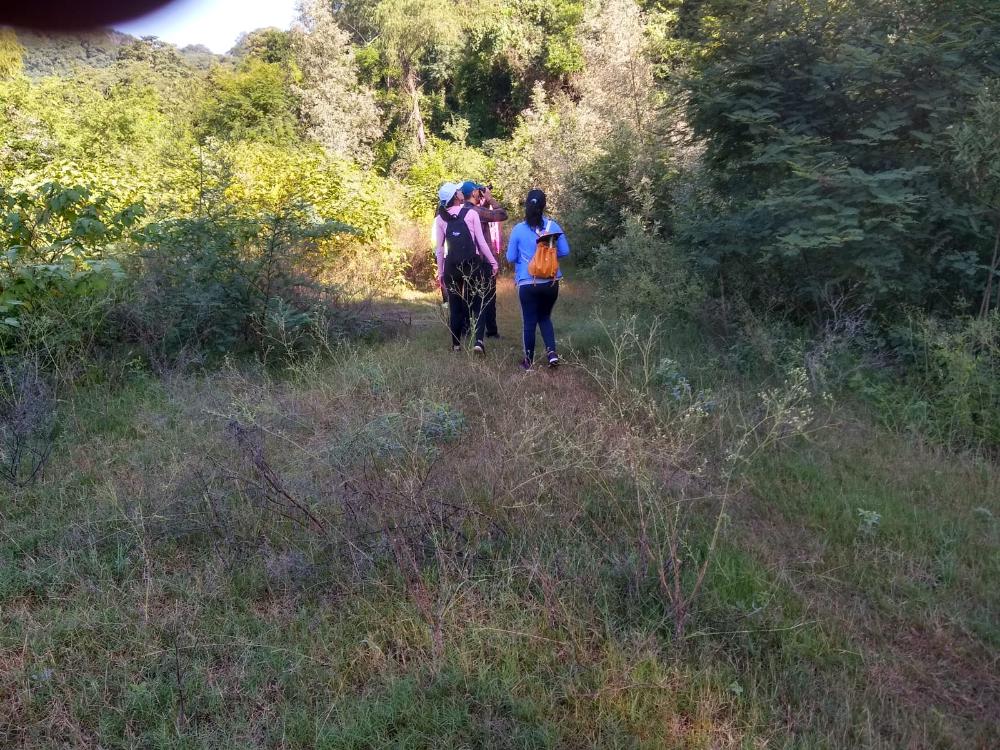 Carlos PIÑERO | Gota del Chaco