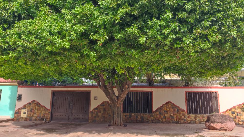 Motoyoe C/Boquerón - Litoral | Gota del Chaco
