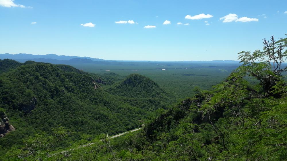 Muela del Diablo | Gota del Chaco