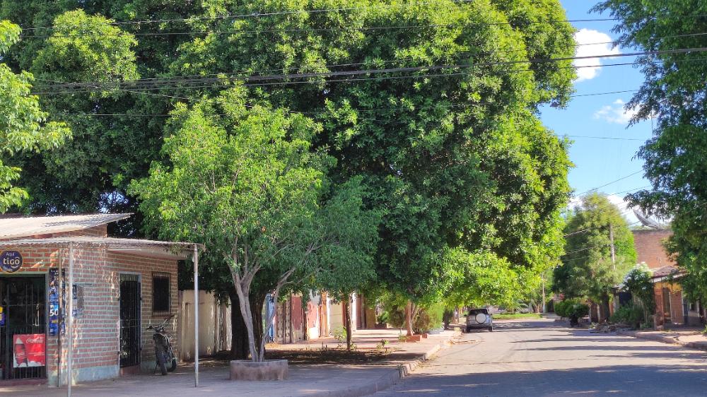 Motoyoe Flia. Plaza | Gota del Chaco