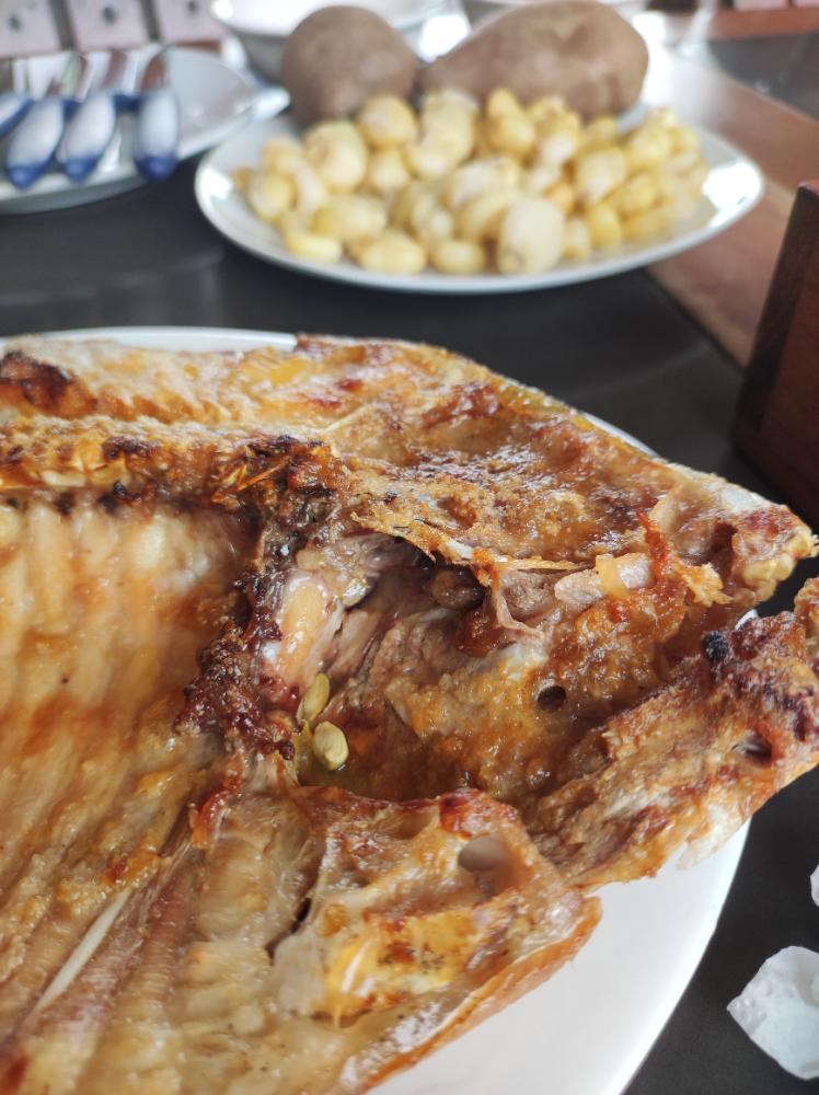 Pacú a la Parrilla | Gota del Chaco