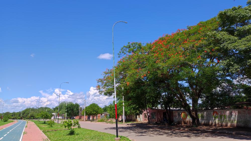 Pajarilla Av. Periférica | Gota del Chaco