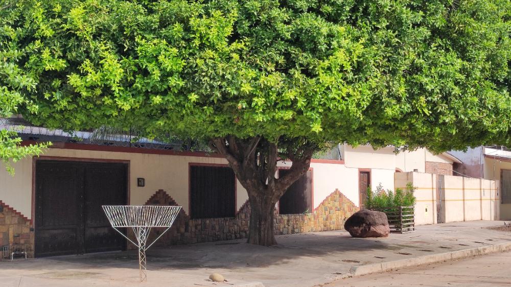 Motoyoe C/Boquerón - Litoral | Gota del Chaco
